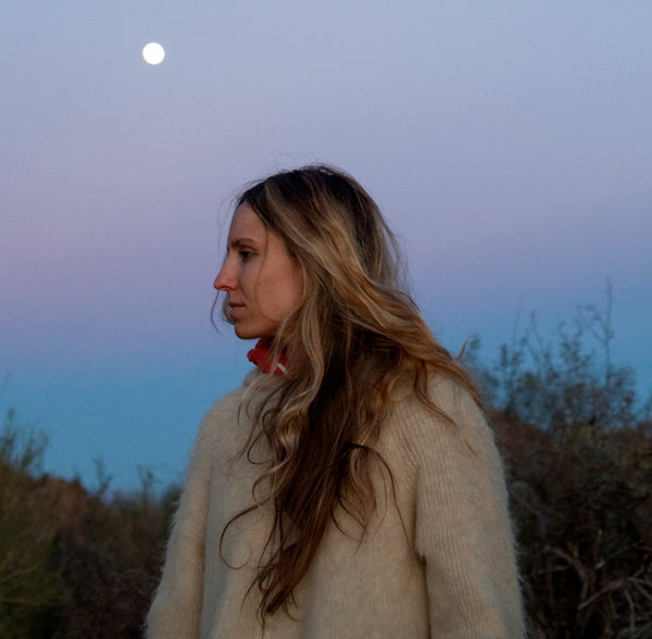 QUARANTINE NOTEBOOKS: A RHETORICAL ANALYSIS — AN ESSAY BY DOT DEVOTA ...